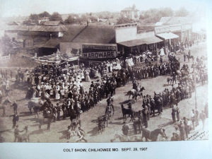 Chilhowee – Johnson County (MO) Historical Society